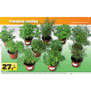 ARCHIV | Bylinky mix v akci platné do: 12.4.2011 | AkcniCeny.cz