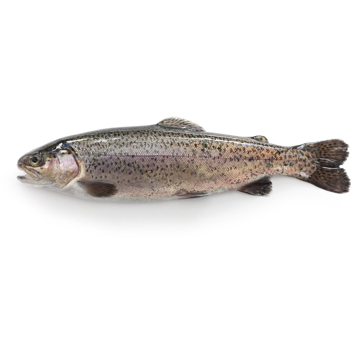 FJORU BIO Pstruh kuchaný v akci | AkcniCeny.cz