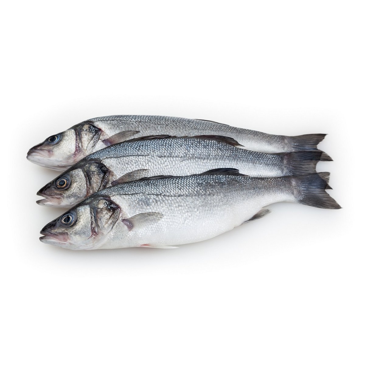 ARCHIV | FJORU ASC Mořský vlk filet s kůží v akci platné do: 30.1.2022 ...