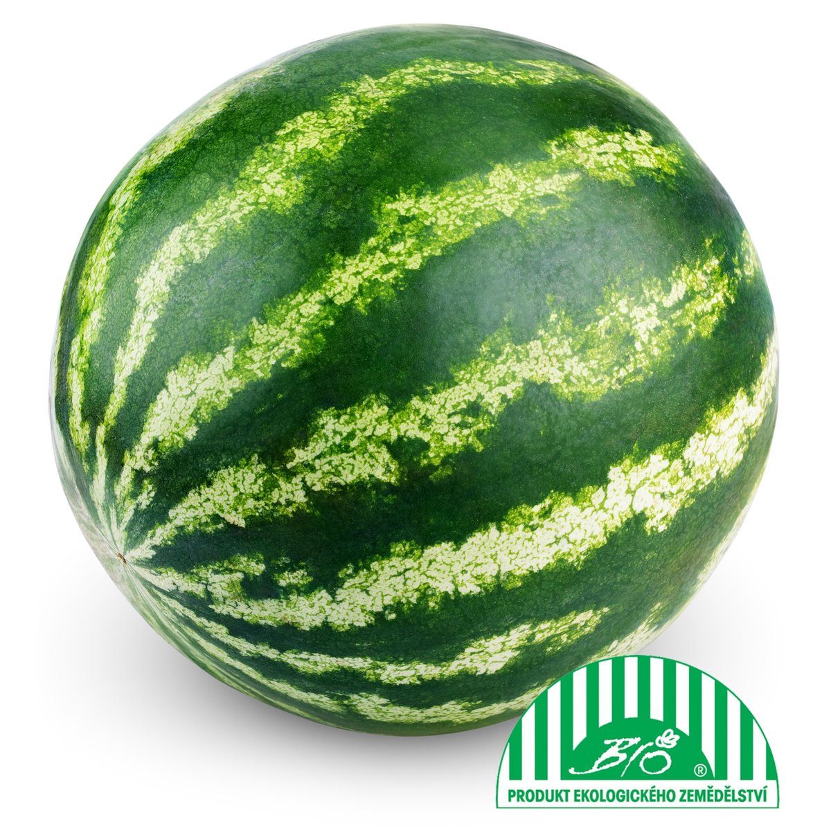 Meloun v akci | AkcniCeny.cz